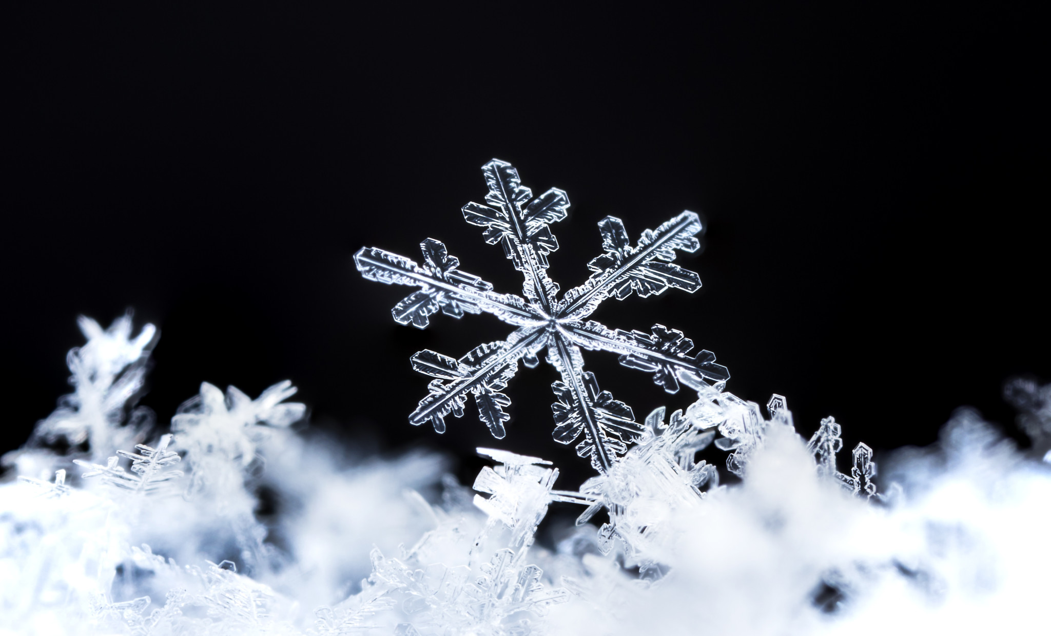 12 curiosidades sobre la nieve que quizás no conocías - Esquiades Blog